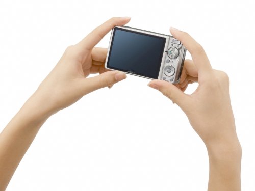 Sony Cyber-shot DSC-W290 12.1 MP Digital Camera with 5x Optical Zoom and Super Steady Shot Image Stabilization (Silver)