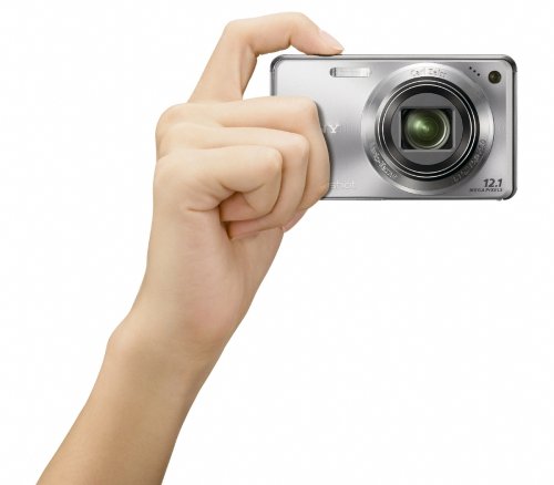 Sony Cyber-shot DSC-W290 12.1 MP Digital Camera with 5x Optical Zoom and Super Steady Shot Image Stabilization (Silver)