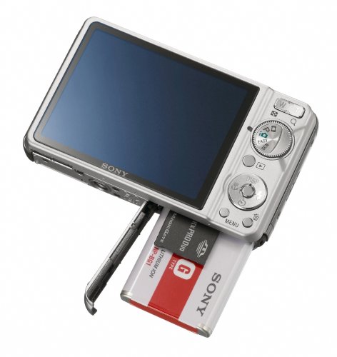 Sony Cyber-shot DSC-W290 12.1 MP Digital Camera with 5x Optical Zoom and Super Steady Shot Image Stabilization (Silver)