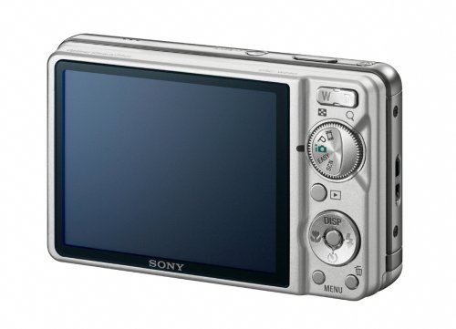 Sony Cyber-shot DSC-W290 12.1 MP Digital Camera with 5x Optical Zoom and Super Steady Shot Image Stabilization (Silver)