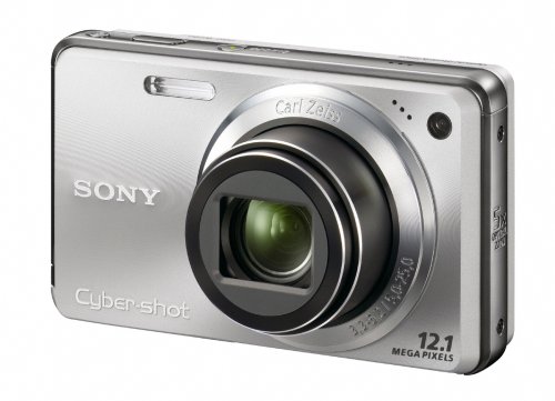 Sony Cyber-shot DSC-W290 12.1 MP Digital Camera with 5x Optical Zoom and Super Steady Shot Image Stabilization (Silver)