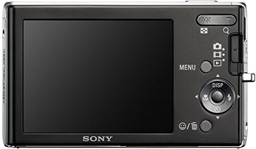 Sony Cybershot DSC-W190 12.1MP Digital Camera with 3x Super Steady Shot Stabilized Zoom and 2.7 inch LCD (Black)