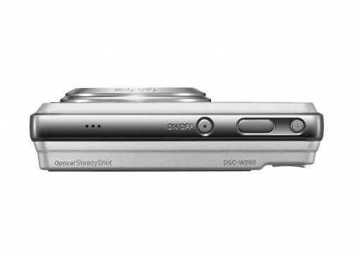 Sony Cyber-shot DSC-W290 12.1 MP Digital Camera with 5x Optical Zoom and Super Steady Shot Image Stabilization (Silver)