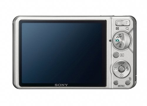 Sony Cyber-shot DSC-W290 12.1 MP Digital Camera with 5x Optical Zoom and Super Steady Shot Image Stabilization (Silver)