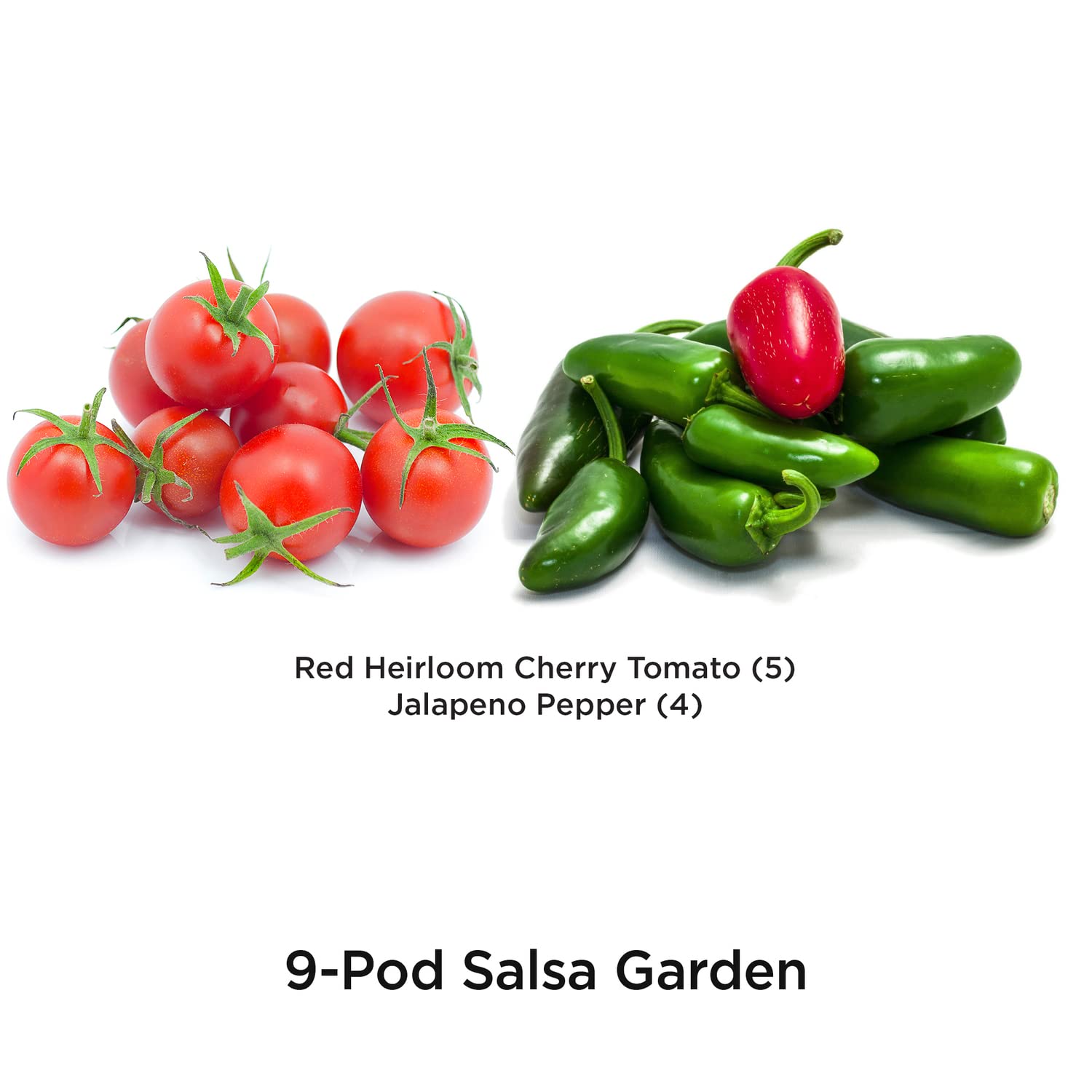 AeroGarden Salsa Garden Seed Pod Kit (9-pod)
