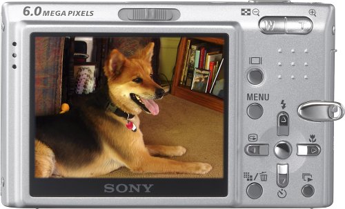 Sony Cybershot DSC-T9 6MP Digital Camera with 3x Optical Image Stabilization Zoom