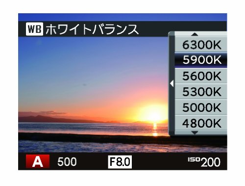 FUJIFILM FinePix X100 APS-C CMOS EXR Digital Camera with 23mm Fujinon Lens and 2.8-Inch LCD - International Version (No Warranty)