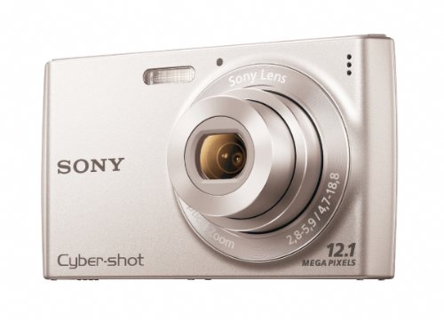 Sony Cyber-Shot DSC-W510 12.1 MP Digital Still Camera with 4x Wide-Angle Optical Zoom Lens and 2.7-inch LCD (Silver)