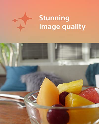 Sony ZV-1F Vlog Camera for Content Creators and Vloggers (Black) (Renewed)