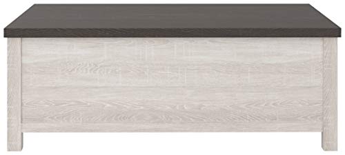 Signature Design by Ashley Dorrinson Farmhouse Lift Top Coffee Table with Storage, Antique White & Brown
