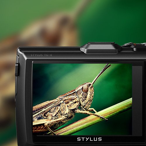 Olympus STYLUS Tough TG-4 16MP 1/2.3" BSI CMOS 4608 x 3456pixels Black - Cámara digital (Compact camera, 1/2.3", BSI CMOS, 4608 x 3456 pixels, 4608 x 3456, 3264 x 2448, 2048 x 1536, 640 x 480, 1:1, 3:2, 4:3, 16:9)