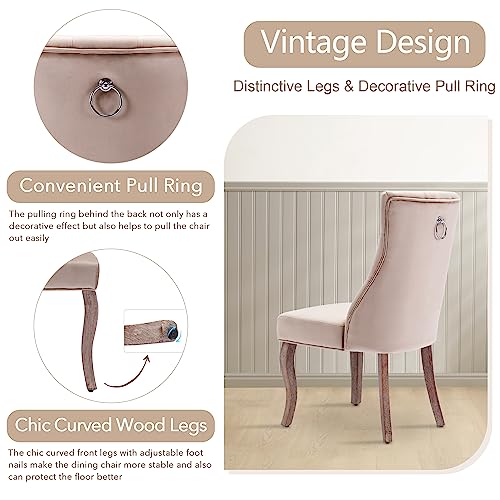 FOREDO Velvet Dining Chairs Set of 2, Upholstered Tufted Dining Chairs with Back Ring Pull Trim and Solid Wood Legs, Tan