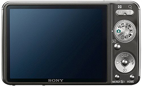 Sony Cyber-shot DSC-W230 12.1 MP Digital Camera with 4x Optical Zoom and Super Steady Shot Image Stabilization (Black)