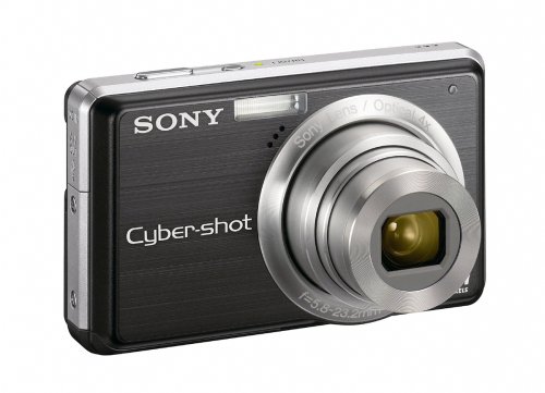 Sony Cybershot DSC-S950 10MP Digital Camera with 4x Optical Zoom with Super Steady Shot Image Stabilization (Black)