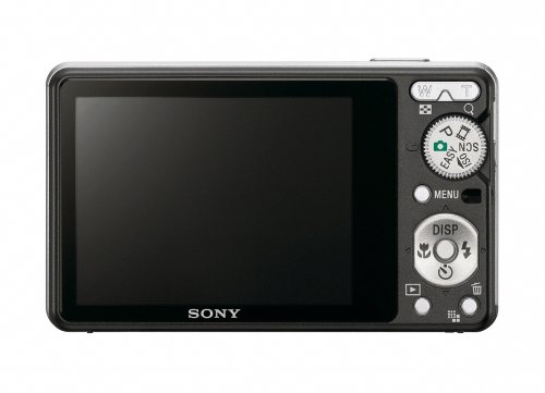 Sony Cybershot DSC-S950 10MP Digital Camera with 4x Optical Zoom with Super Steady Shot Image Stabilization (Black)