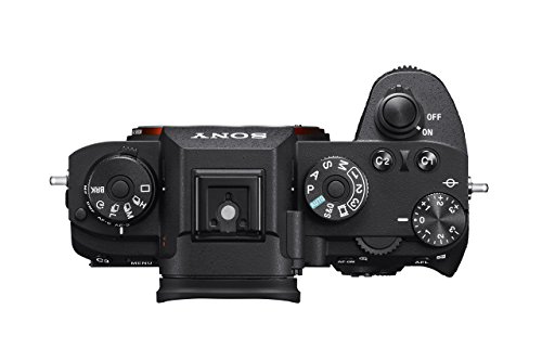 Sony a9 Full Frame Mirrorless Interchangeable-Lens Camera (Body Only) (ILCE9/B) (Renewed)