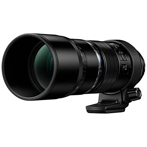Olympus OM-D E-M1X Mirrorless Digital Camera Body with M. Zuiko Digital ED 300mm F/4.0 is Pro Lens