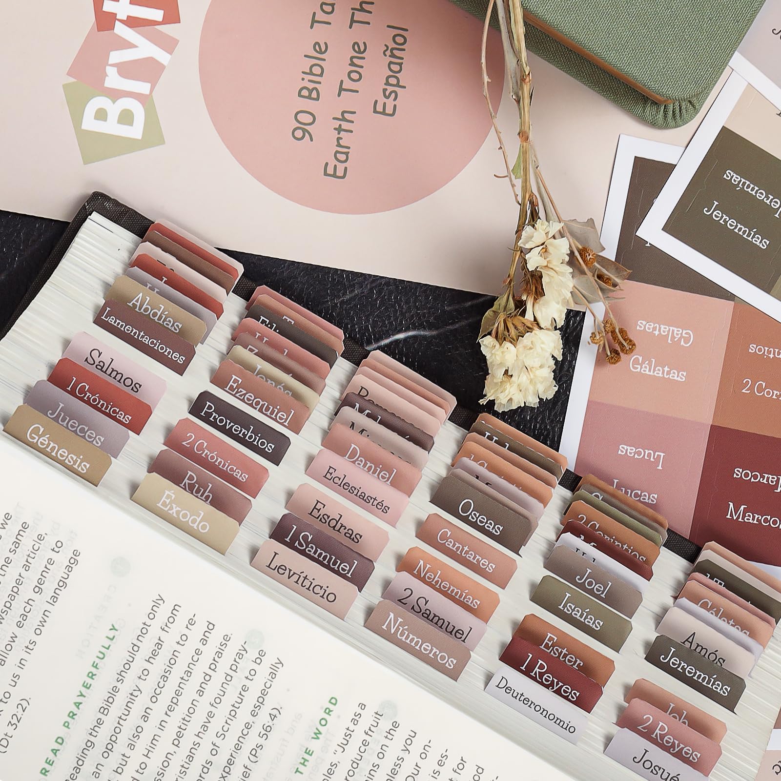 Spanish Earth Tone Bible tabs, Large Print Laminated Bible tabs for Women and Men, Easy to Read, Easy to Apply, Bible Journaling Tabs