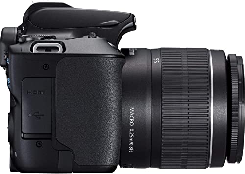 Canon EOS 250D (Rebel SL3) DSLR Camera with 18-55mm & 75-300mm Canon Lenses + 64GB Card, Tripod, Flash, and More (20pc Bundle) Black compact