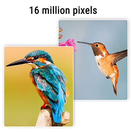 Digital Camera, 16MP 2.4 Inch LCD Screen 16X Digital Zoom 720P Camera for Teens Students Boys Girls Seniors