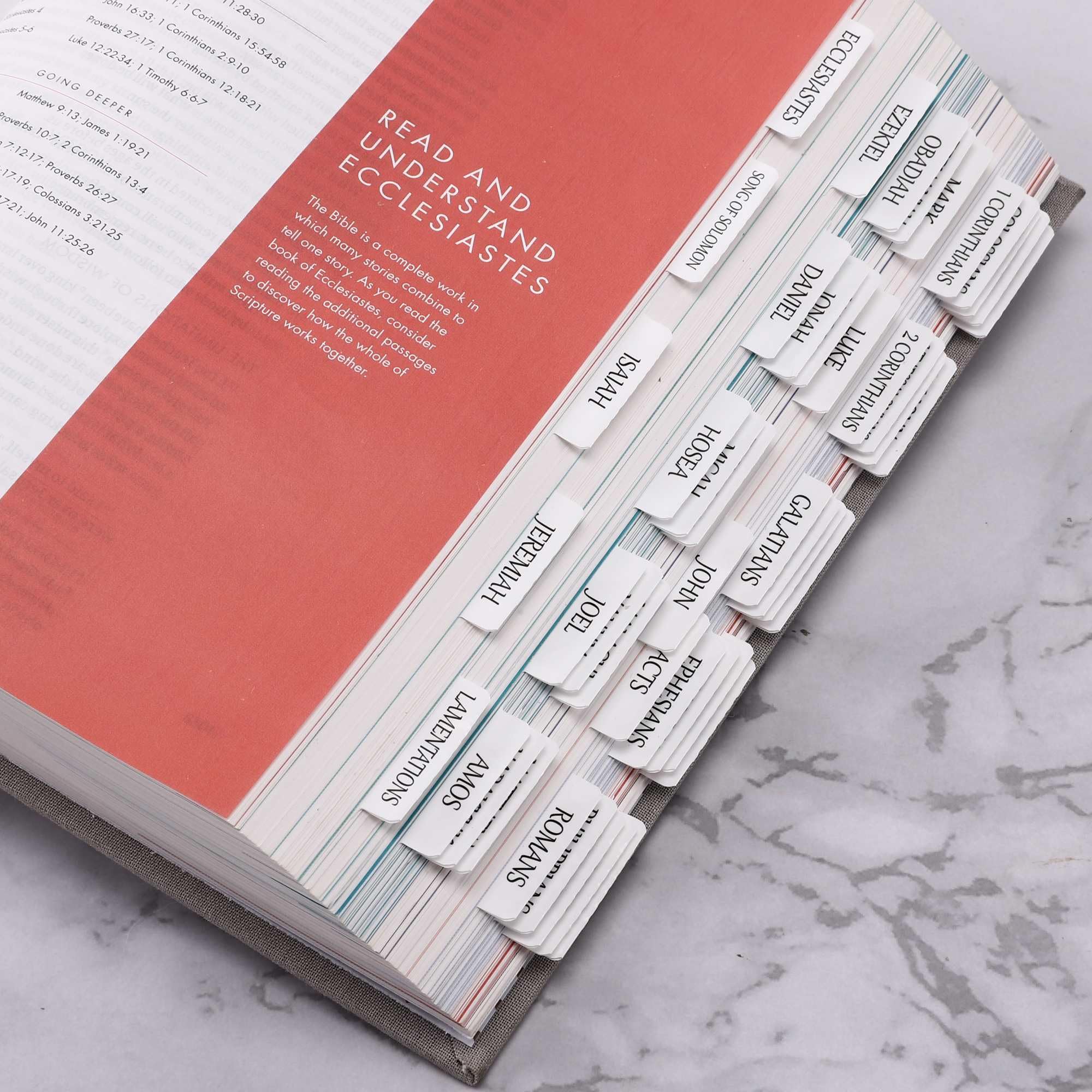 Thinkor Reposition Laminated Bible Tabs, Large Print Stickers, Easy to Read and Apply Bible Tabs for Women and Man (Cream White)