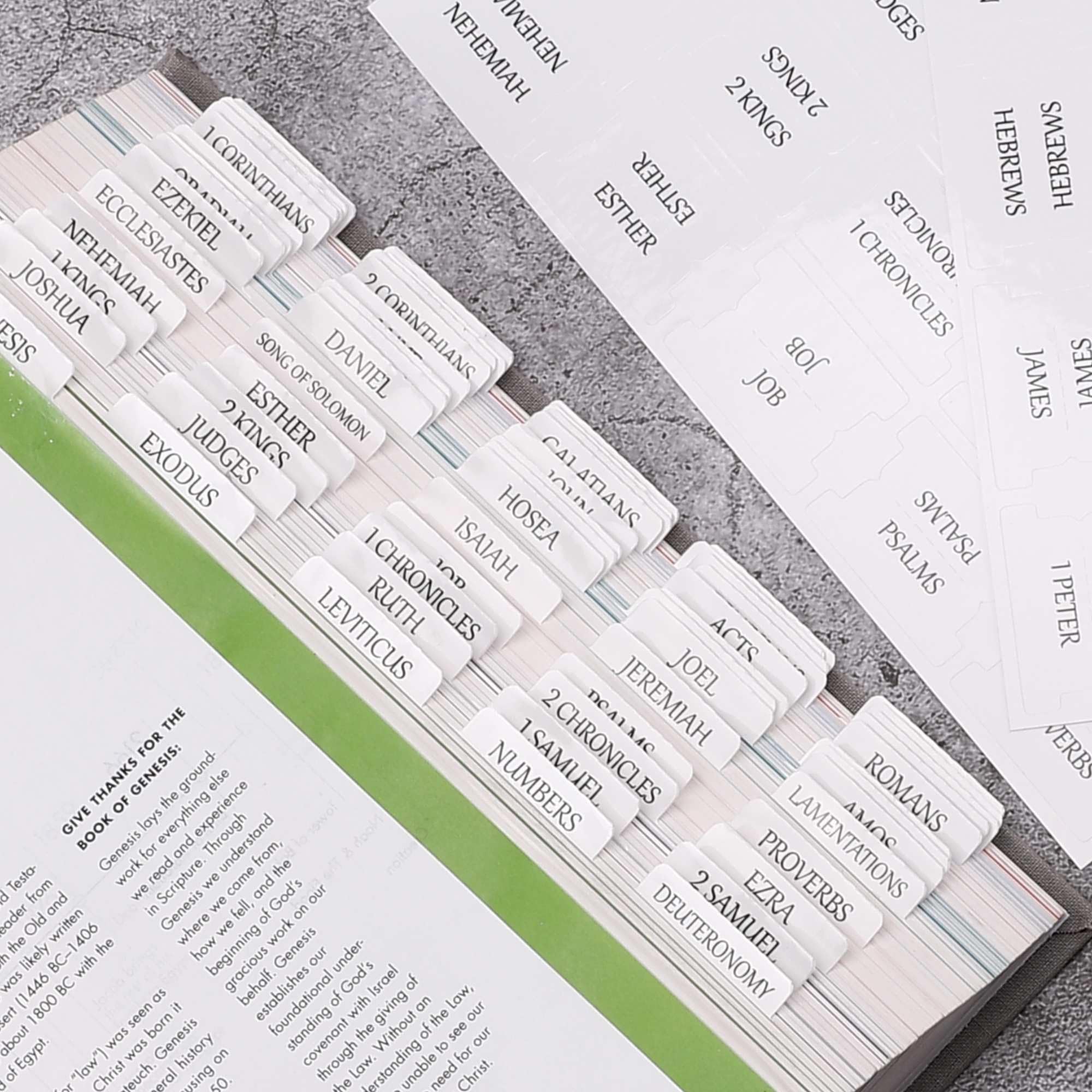 Thinkor Reposition Laminated Bible Tabs, Large Print Stickers, Easy to Read and Apply Bible Tabs for Women and Man (Cream White)