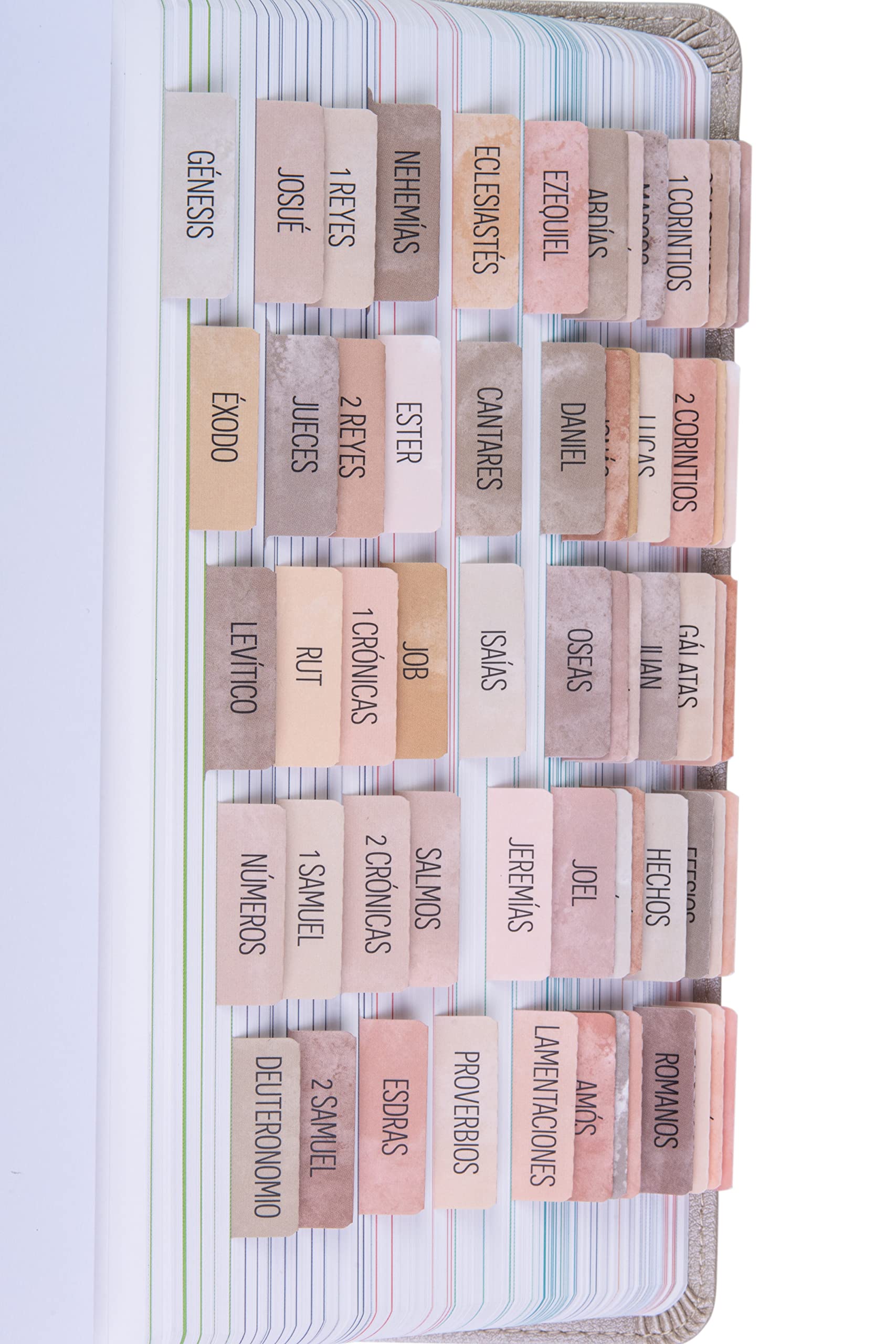 DiverseBee Spanish Bible Tabs (Large Print, Easy to Read), Bible Journaling Book Tabs, Christian Gift, 66 Bible Tabs Old and New Testament, Includes Catholic Books and 9 Blank Tabs (Paz)