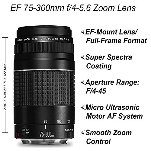 Canon EOS Rebel T7 Digital SLR Camera with EF-S 18-55mm + EF 75-300mm Daul Lens + SanDisk 32GB Memory Card + Tripod + Case + Wideangle Lenses + ZeeTech Accessory Bundle (21pc Bundle) (Renewed)