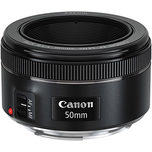 Canon EOS 6D Mark II DSLR Camera with Canon EF 75-300mm f/4-5.6 III Lens + Canon EF 50mm f/1.8 STM Lens + Fully Dedicated TTL Flash + 64Gb SDXC Card + FB-150 Flash Bracket (22 Items kit) (Renewed)
