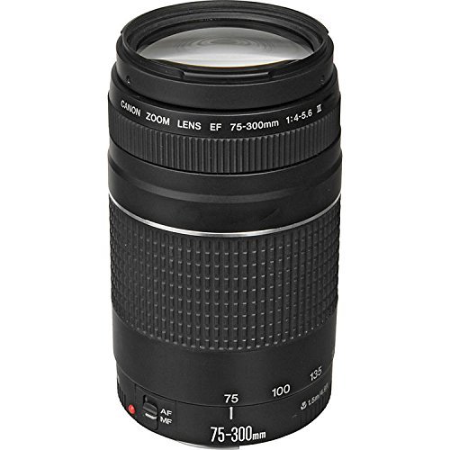 Canon EOS 6D Mark II DSLR Camera with Canon EF 75-300mm f/4-5.6 III Lens + Canon EF 50mm f/1.8 STM Lens + Fully Dedicated TTL Flash + 64Gb SDXC Card + FB-150 Flash Bracket (22 Items kit) (Renewed)