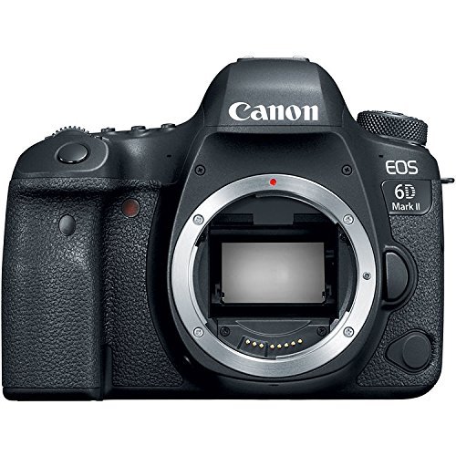 Canon EOS 6D Mark II DSLR Camera with Canon EF 75-300mm f/4-5.6 III Lens + Canon EF 50mm f/1.8 STM Lens + Fully Dedicated TTL Flash + 64Gb SDXC Card + FB-150 Flash Bracket (22 Items kit) (Renewed)