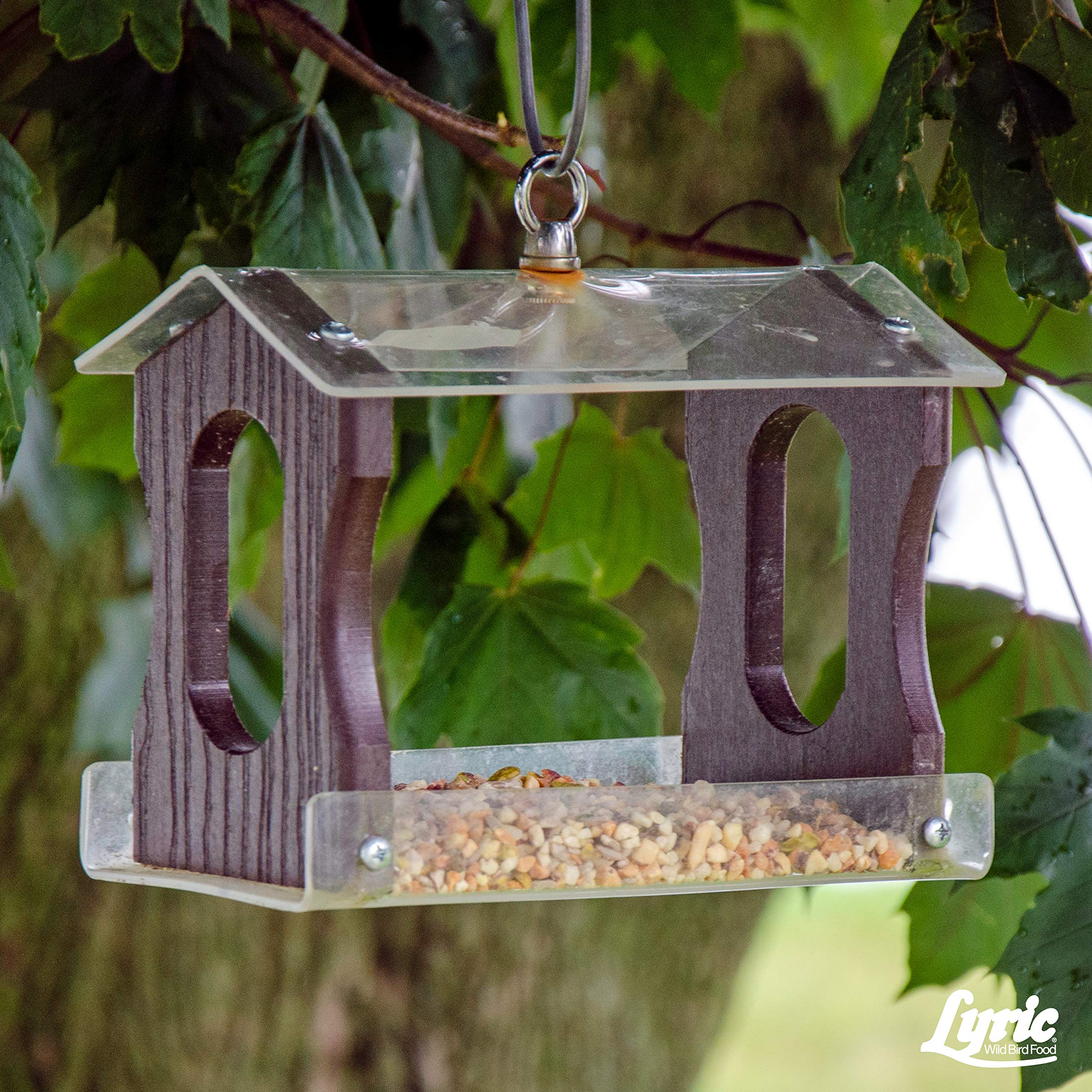 Lyric Fine Tunes Wild Bird Seed - No Waste Bird Food Mix - Attracts Bluebirds, Finches, Chickadees & More - 15 lb. Bag