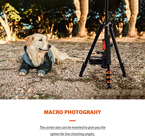 GEEKOTO Camera Tripod for DSLR, Compact Aluminum Tripod with 360 Degree Ball Head and 8kgs Load for Travel and Work