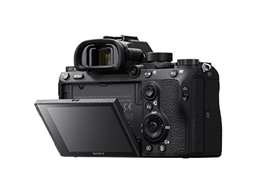 Sony a7R III 42.4MP Full-frame Mirrorless Interchangeable-Lens Camera (Renewed)