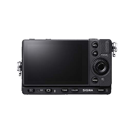 Sigma FP Mirrorless Digital Camera (C43900)
