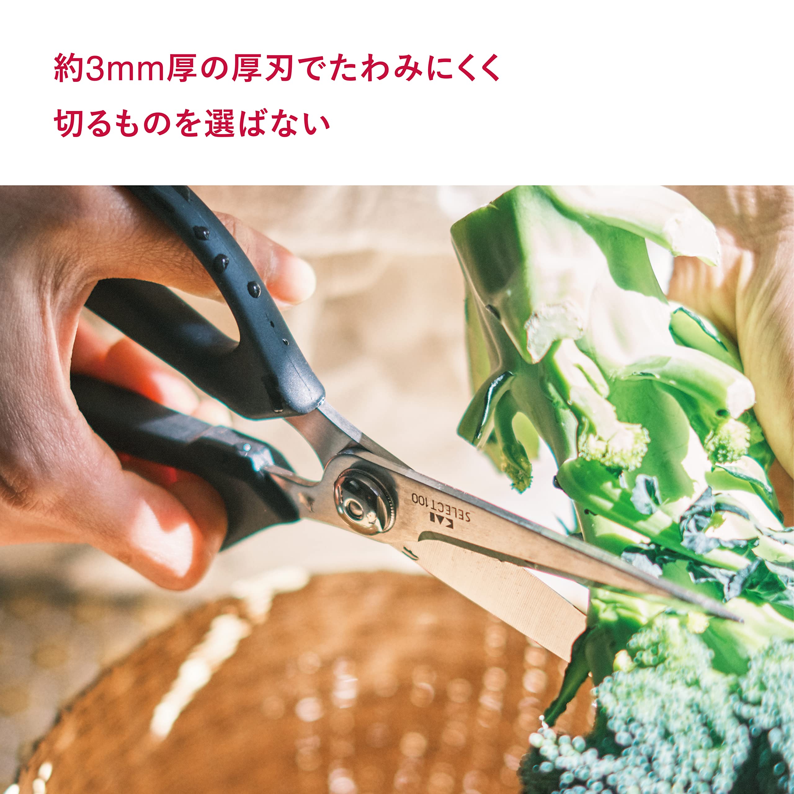Kitchen Scissors (DH-3005)