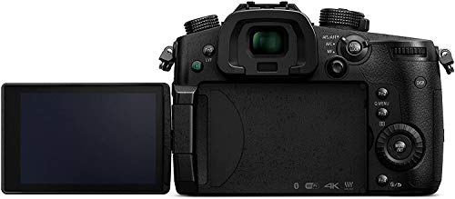 Panasonic LUMIX GH5 4K Mirrorless Camera with Lecia VARIO-Elmarit 12-60mm F2.8-4.0 Lens (DC-GH5LK)