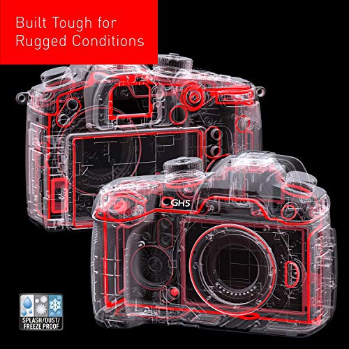 Panasonic LUMIX GH5 4K Mirrorless Camera with Lecia VARIO-Elmarit 12-60mm F2.8-4.0 Lens (DC-GH5LK)
