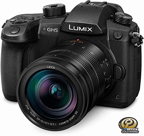 Panasonic LUMIX GH5 4K Mirrorless Camera with Lecia VARIO-Elmarit 12-60mm F2.8-4.0 Lens (DC-GH5LK)