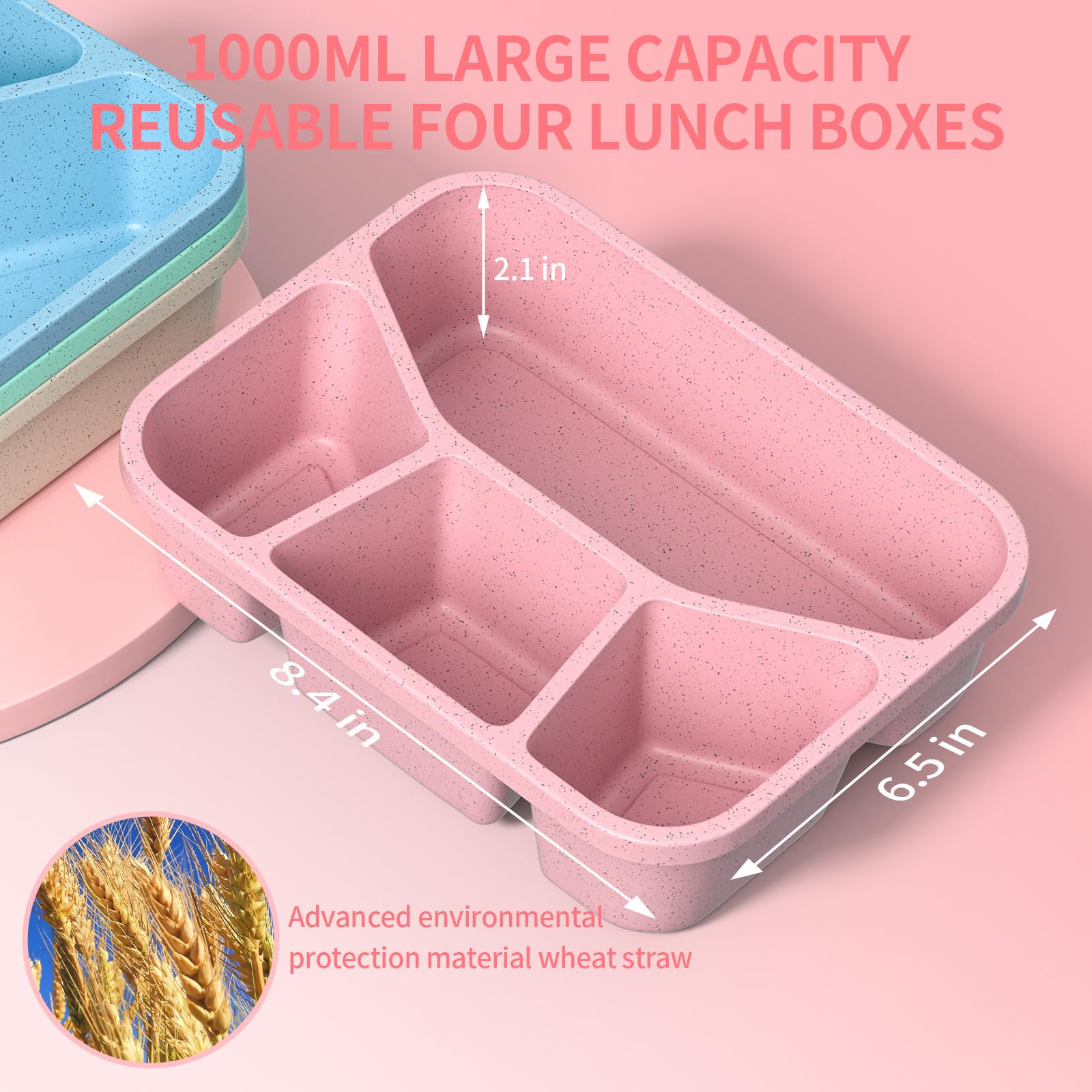 XGXN Bento Box Adult Lunch Box (4 Pack), 5-Compartment Meal Prep Container for Kids, Reusable Food Storage Containers with Transparent Lids, No BPA, Microwaveable (Wheat (Green/Blue/Pink/Beige))