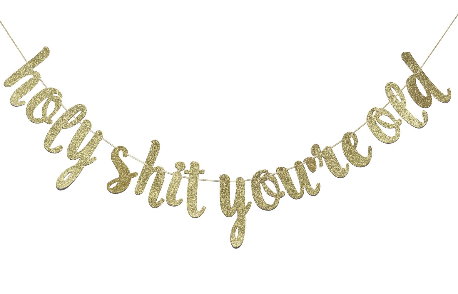 Holy Shit You're Old Glitter Banner, Funny 21st 30th 40th 50th 60th 80th 90th Birthday Decorations Pre-Strung Sign (Gold Glitter)