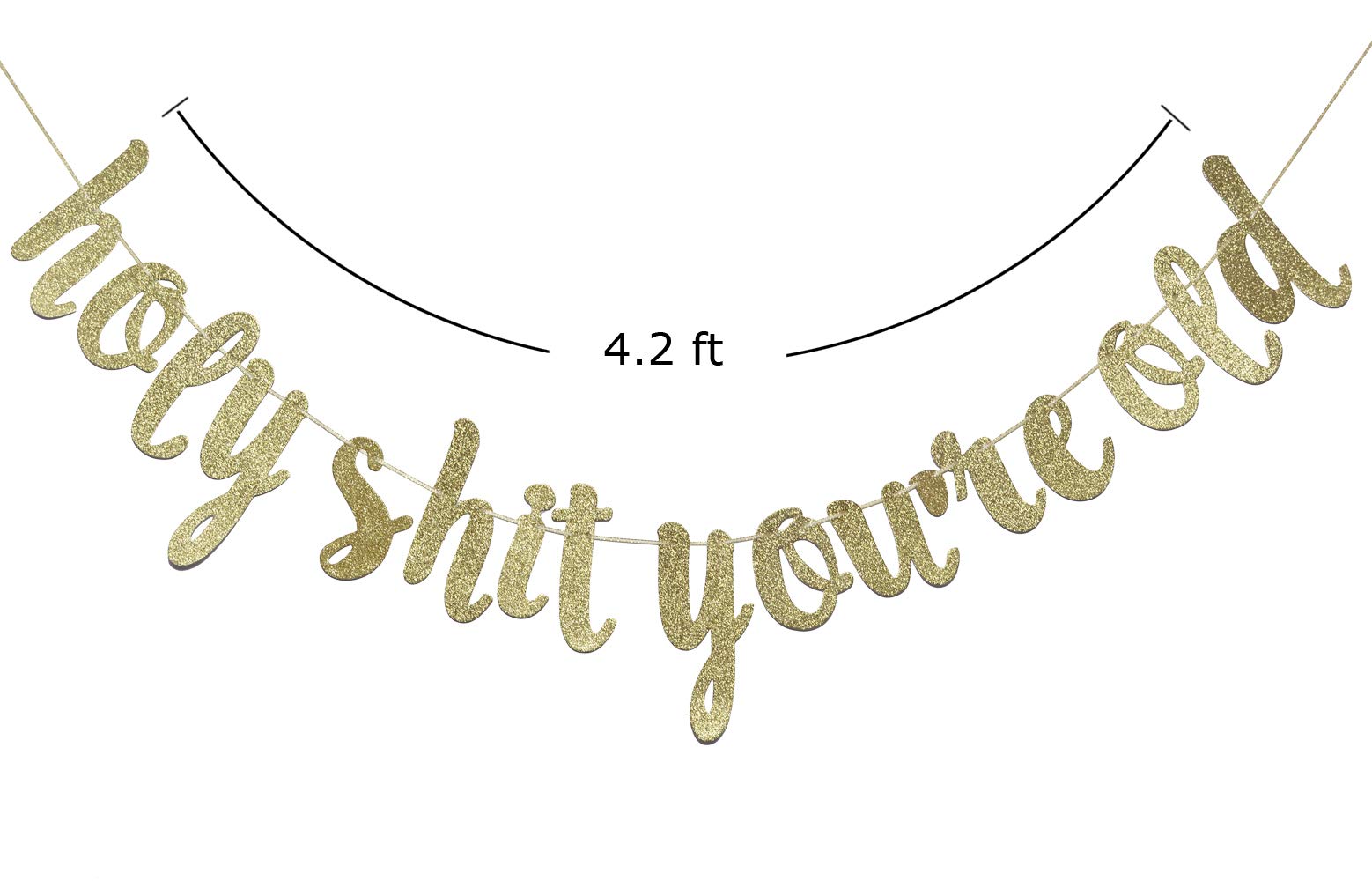 Holy Shit You're Old Glitter Banner, Funny 21st 30th 40th 50th 60th 80th 90th Birthday Decorations Pre-Strung Sign (Gold Glitter)