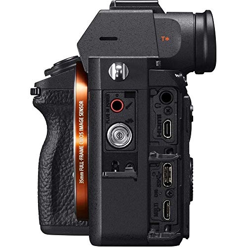 Sony Alpha a7R III Mirrorless Digital Camera (Body Only) (ILCE7RM3/B) + 2 x 64GB Memory Card + 3 x NP-FZ-100 Battery + Corel Photo Software + Case + Card Reader + LED Light + More (Renewed)
