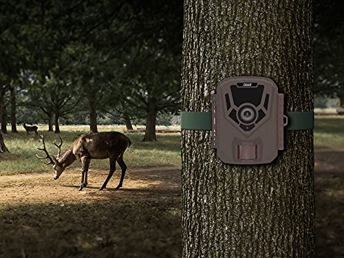 Coleman CHD200 1080p HD Xtreme Trail Camera