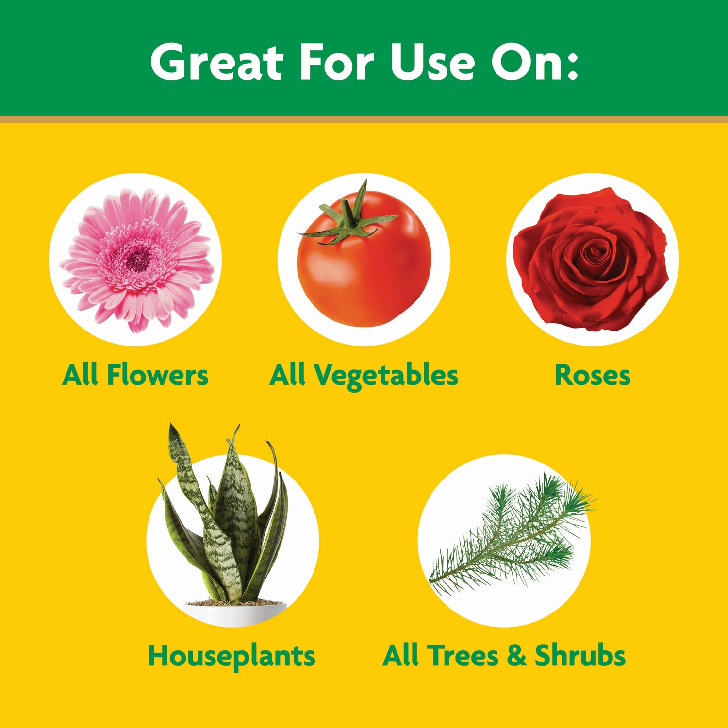 Miracle-Gro Water Soluble All Purpose Plant Food, 3 lb