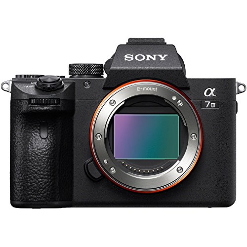 Sony ILCE-7M3K/B a7III Full Frame Mirrorless Interchangeable Lens Camera with 28-70mm Body Bundle with External Flash/Video Light, Sandisk 128GB Memory Card and Monopod