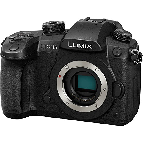 Panasonic Lumix DC-GH5 Mirrorless Micro Four Thirds Digital Camera + Atomos Ninja V 5" 4K HDMI Recording Monitor 14PC Bundle – Includes 64GB SD Memory Card + MORE - International Version (No Warranty)