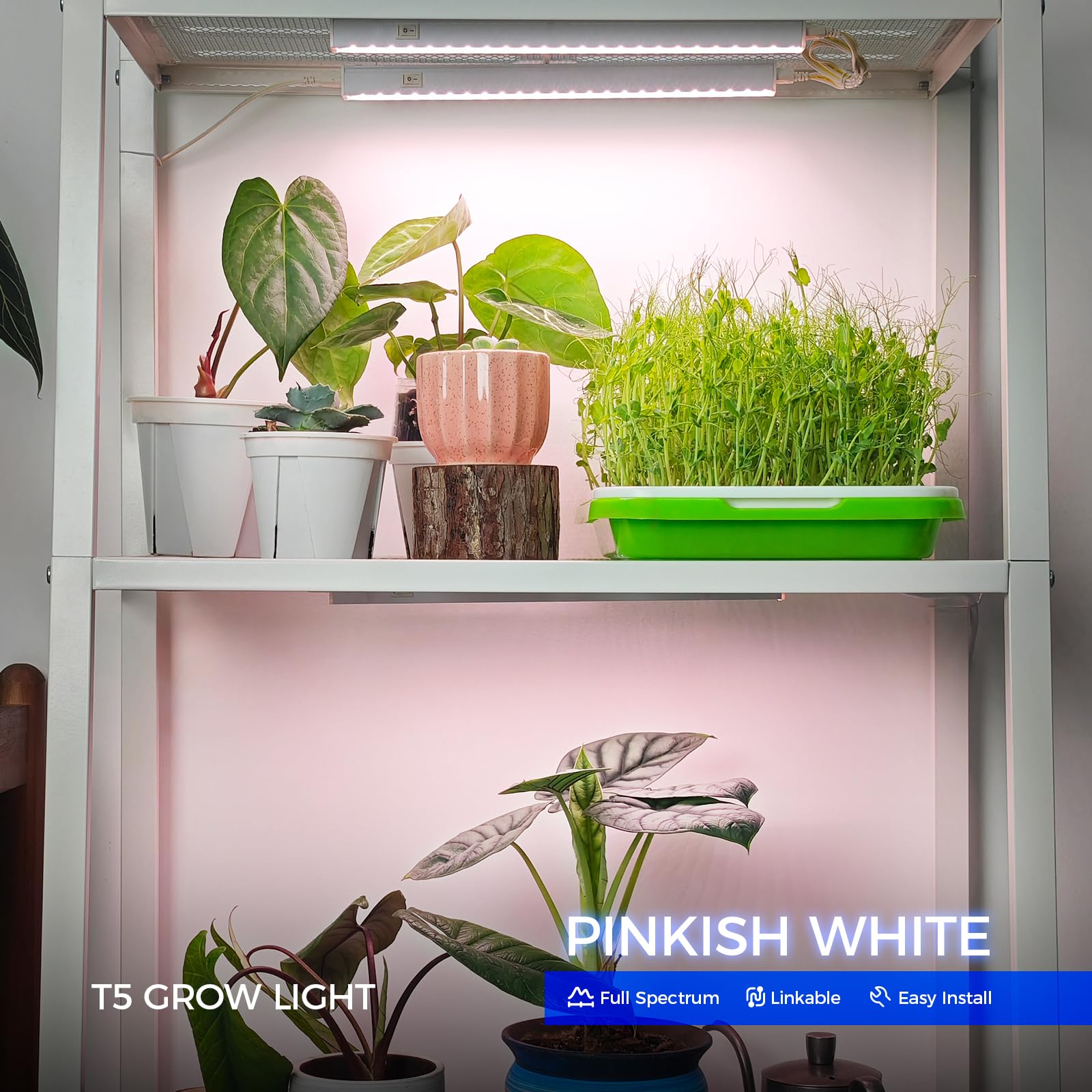 Barrina Grow Light for Indoor Plants, Full Spectrum Sunlight, 1ft Grow Lamp, LED Grow Light Bulbs, T5 Grow Light Strip, Plug and Play, Pinkish White, 4-Pack