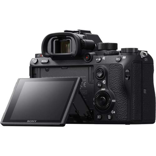 Sony Alpha a7R III Mirrorless Camera ILCE7RM3/B with Soft Bag, Zhiyun-Tech WEEBILL Stabilizer, 2X Extra Batteries, Rode Mic, LED Light, 2X 64GB Memory Cards, External Monitor, Essential Accessories