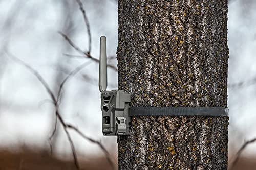 SPYPOINT Flex Dual-Sim Cellular Trail Camera 33MP Photos 1080p Videos with Sound and On-Demand Photo/Video Requests - GPS Enabled with Bundle Options (2 PK, Classic Bundle)